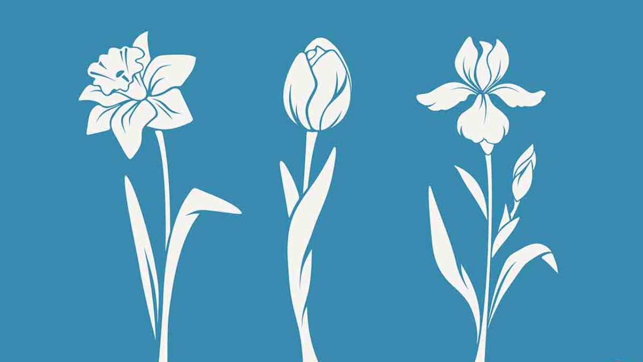 * Personality Test: choose a flower and discover your true personality
