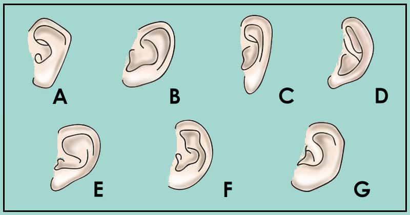 Fun Test: What Does the Shape of Your Ears Reveal About Your Personality?