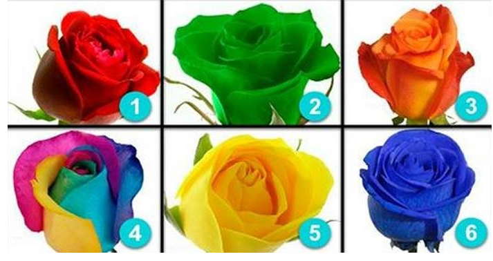 A test done by a renowned psychologist – Choose a rose and discover ...