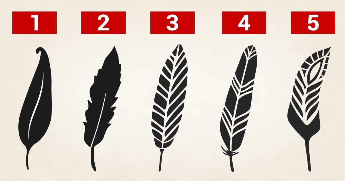 The feather You Choose Will Tell About The Hidden Power Of Your Personality The feather You Choose Will Tell About The Hidden Power Of Your Personality