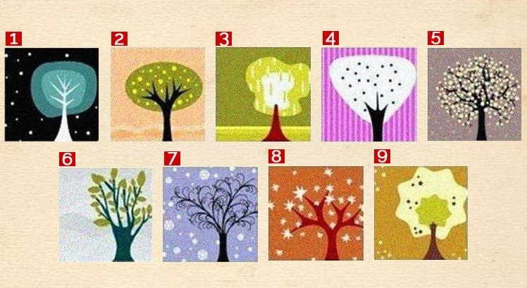 Pick A Tree And See What It Reveals About Your Personality